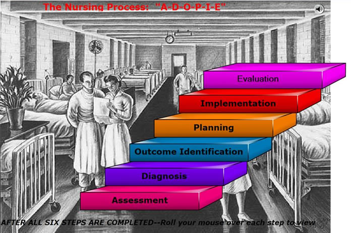 Fundamentals Of Nursing – NCLEX EXPRESS FL